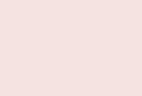Calamine Pink No. 230 Paint