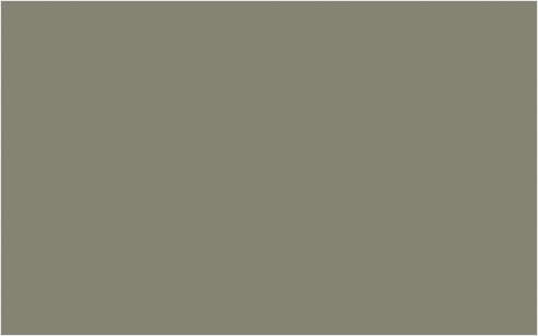 Gunsmith Gray CW-65 Paint